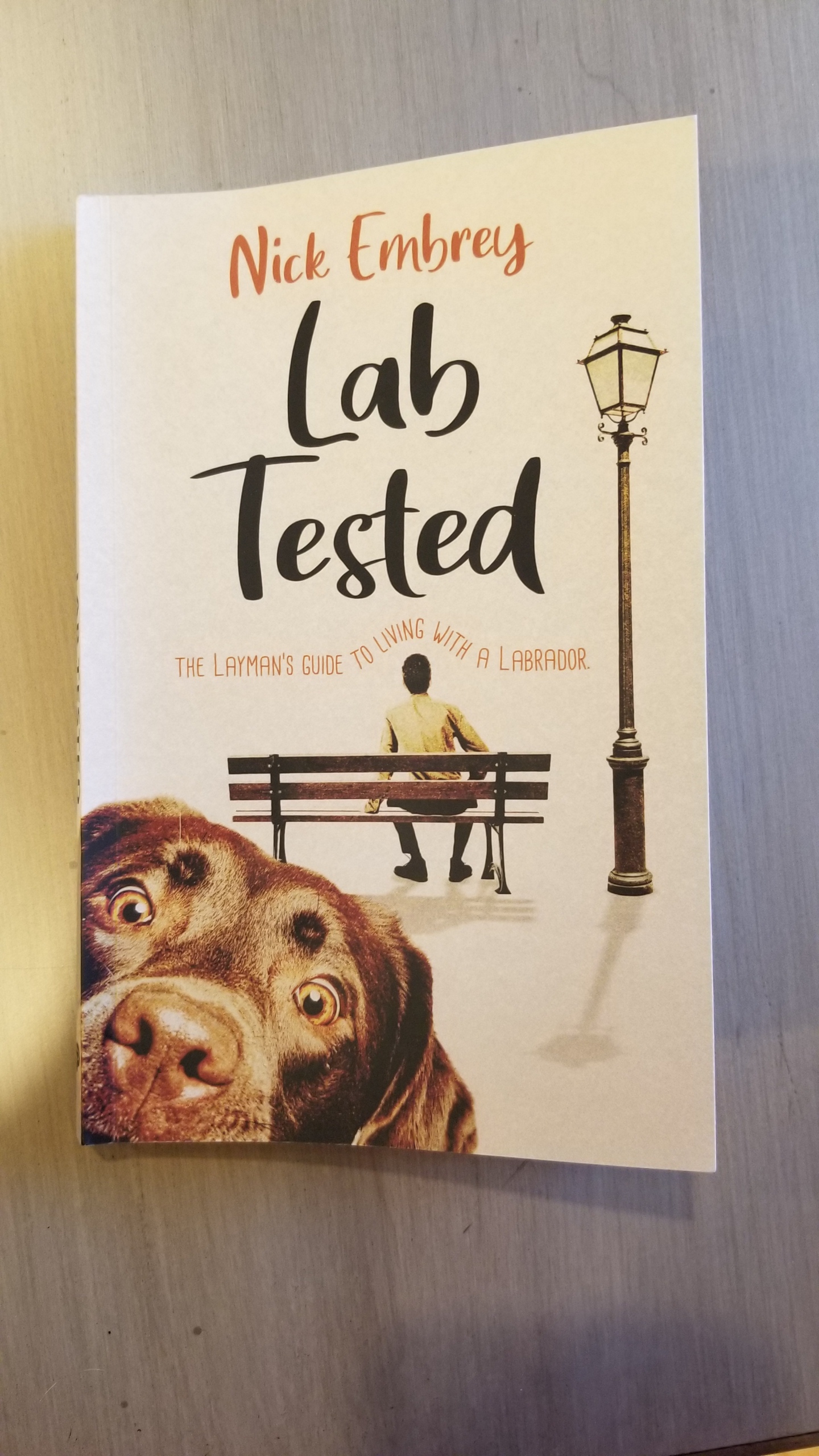 Life with a Labrador – Leonberger Life