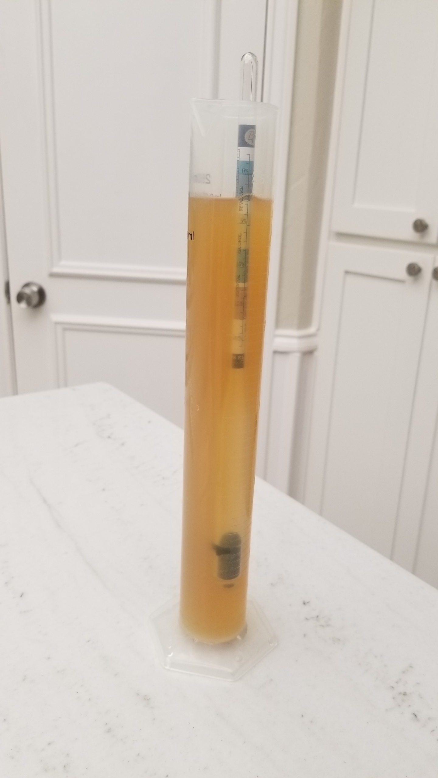 Measuring Alcohol in Homebrewed Beer – Leonberger Life